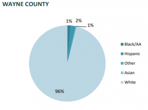 Wayne County Autism Census — PAAutism.org, an ASERT Autism Resource Guide